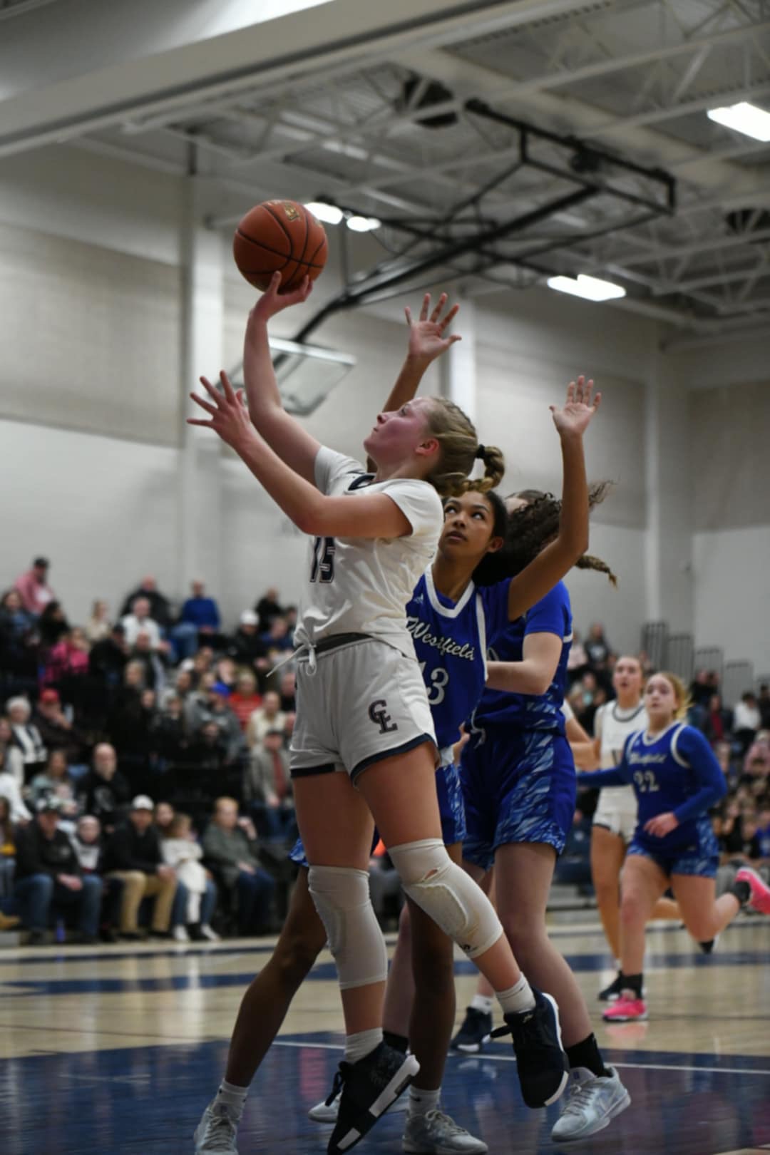 Westfield girls top Chautauqua Lake | News, Sports, Jobs - Observer Today